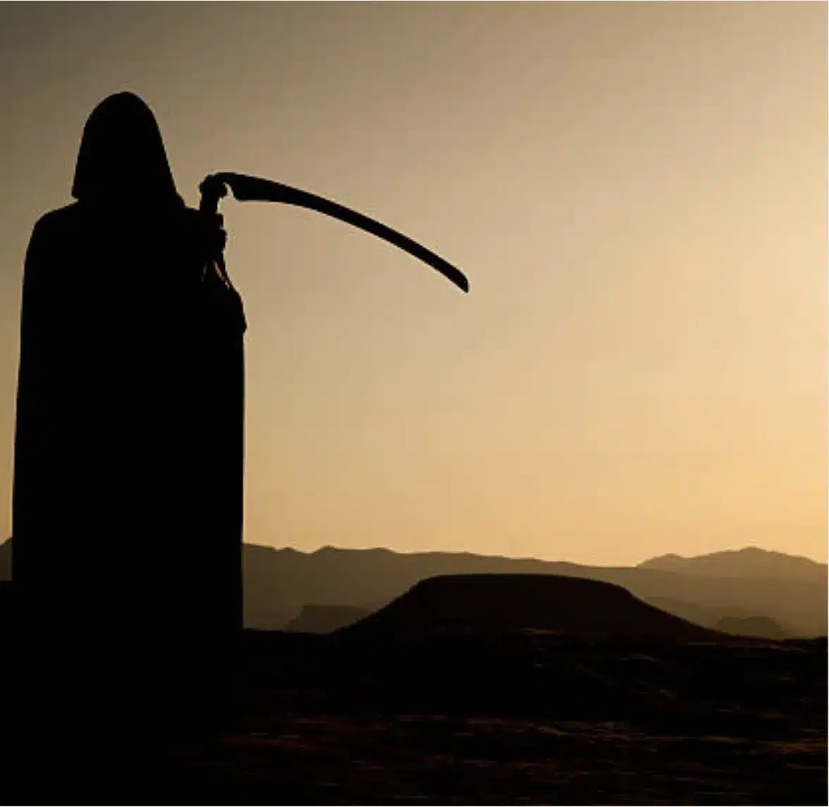 (No) Fear of Death – What Death Teaches Us About Life